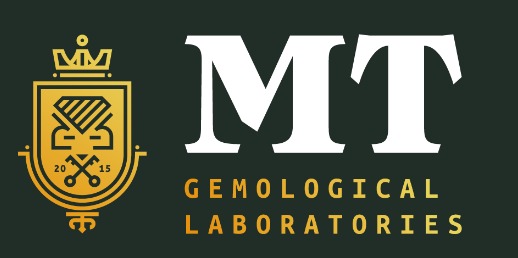 MT Labs Mohannad Sedrani | Odoo